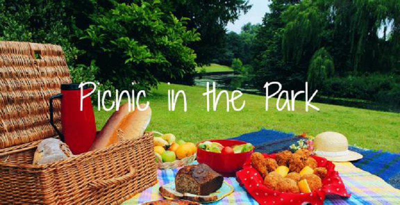 Picnic this Saturday! | Lakeland Amateur Radio Club Blog
